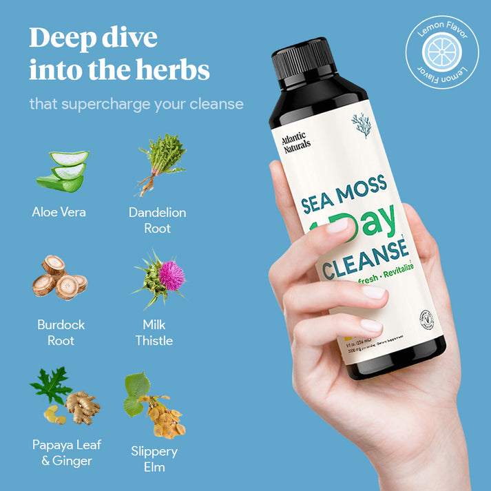 Sea Moss 1 Day Cleanse | Lemon Flavor#N# – Atlantic Naturals