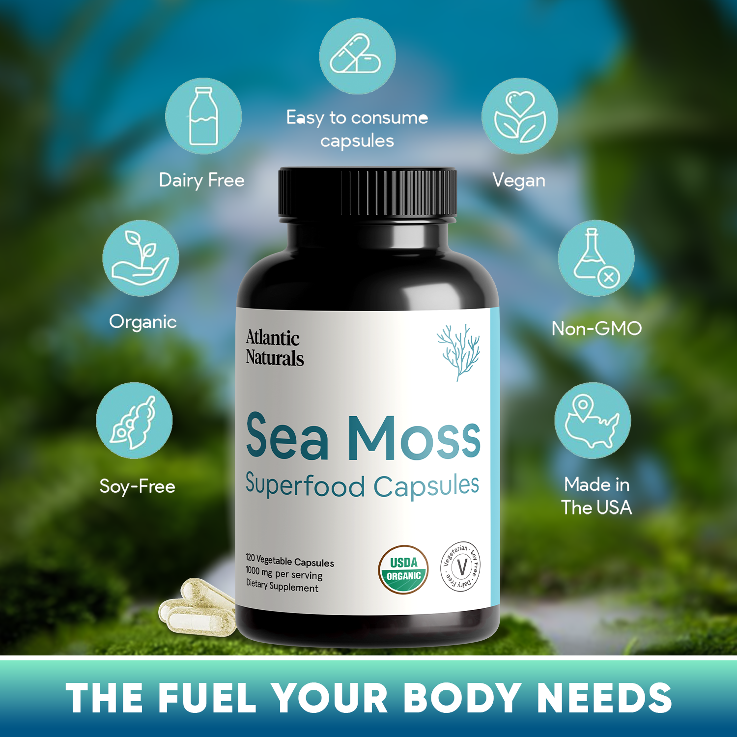 Cápsulas de musgo de mar orgánico – Atlantic Naturals