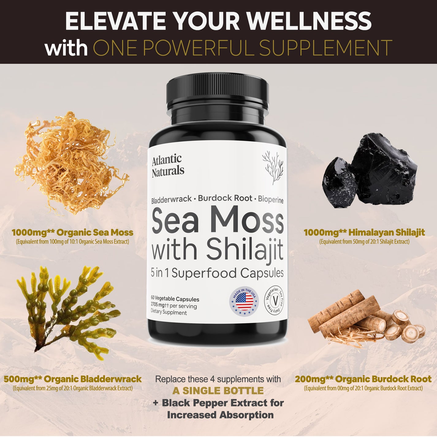 Sea Moss with Shilajit 5 in 1 Capsules – Atlantic Naturals